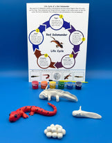 Ivy Kids Kit - The Salamander Room