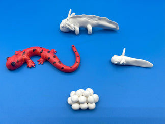 Ivy Kids Kit - The Salamander Room