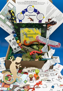 Ivy Kids Kit - The Salamander Room