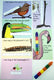 Ivy Kids Kit inspired by Inch by Inch